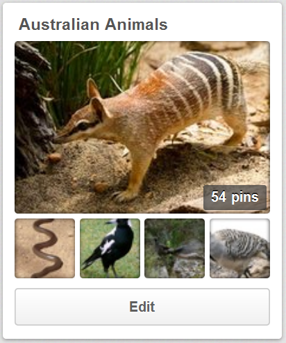 Iconic Australian Animals | Four Birds Education